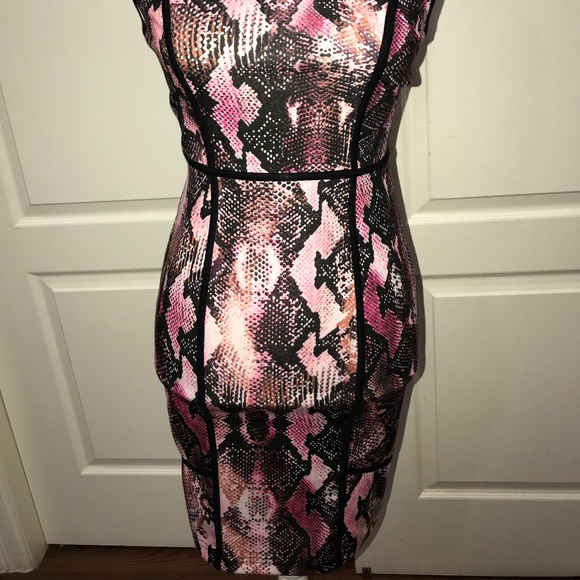 Jennifer Lopez | Dresses | Jennifer Lopez Python Northern Light Sheath ...